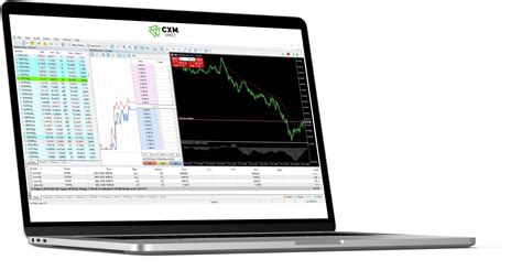 Image result for MetaTrader 5 Setup