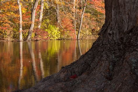 Image result for Creative Composition in Photography Examples