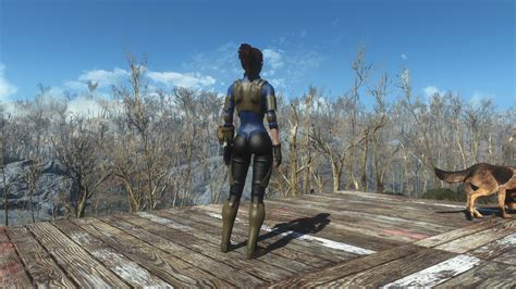 Image result for Fallout 4 CBBE Mod Installation