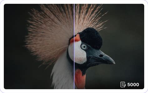 Image result for Jpeg Enhancer