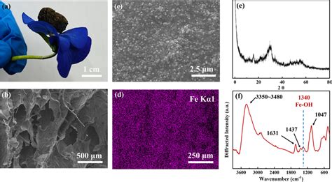 Image result for Pca21 HfO2