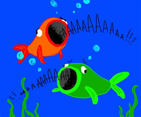 Image result for Screaming Fish Origin