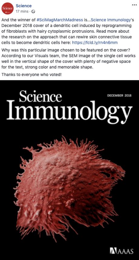 Image result for Direct Reprogramming