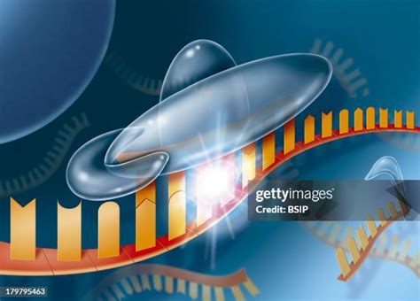 Image result for RNA Interference