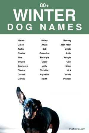 Image result for Snow Dogs Names