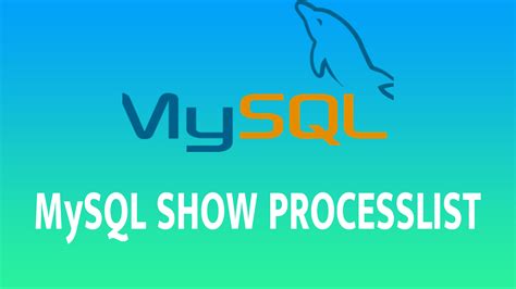 Image result for Show Procedures MySQL