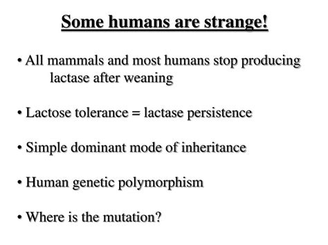 Image result for Lactose Intolerance and Evolution
