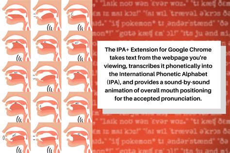 Image result for IPA Coding