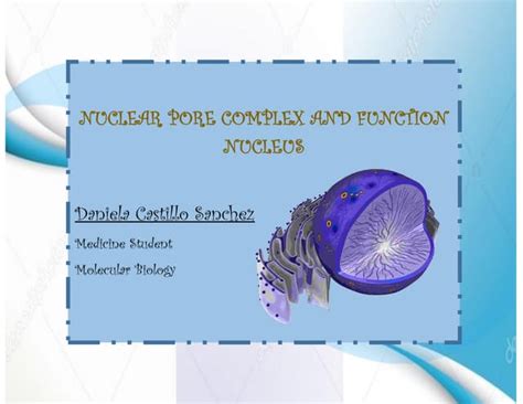 Image result for Function of Nuclear Pore Complex