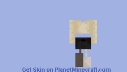 Image result for Minecraft Mod Skin 2D