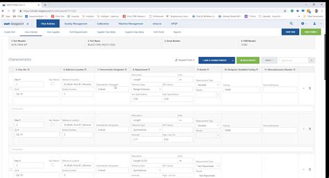 Image result for Net-Inspect Fair Example AS9102 Page 3