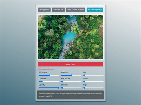 Image result for Filter Images Using Search by JavaScript