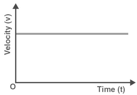 Image result for Class 9 PHY Motion Graphs