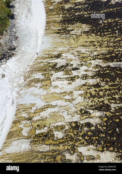 Image result for Java Island Aerial View