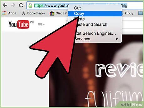 Image result for Copy Streaming