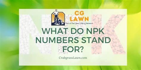 Image result for NPK Explained