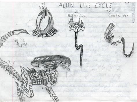 Image result for Alien Life Cycle
