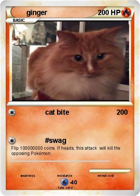 Image result for That One Random Ginger Pokemon