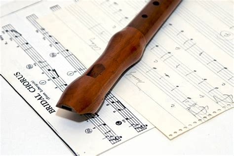 Image result for Recorder Instrument Notes