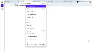 Image result for Vivaldi Browser vs Opera