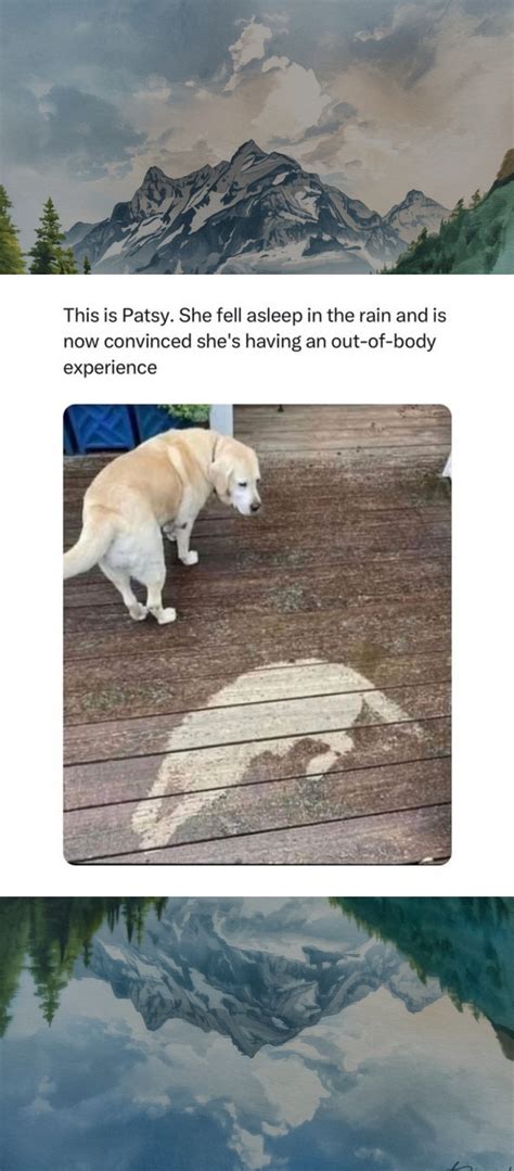 Image result for Patsy Text