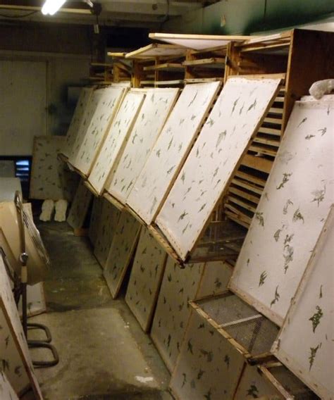 Image result for Cast Paper