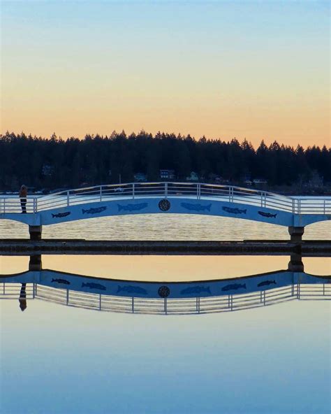 Image result for Guided Activity Examples