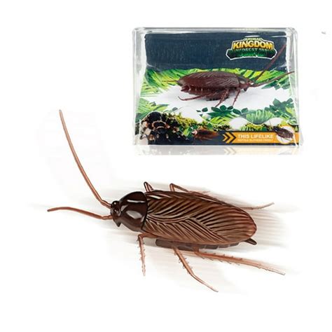 Image result for Cockroach Toy