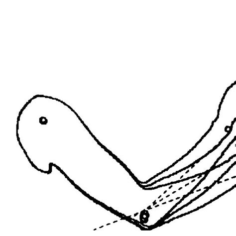 Image result for Involute Arm