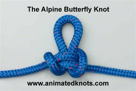 Image result for Butterfly Loop Game