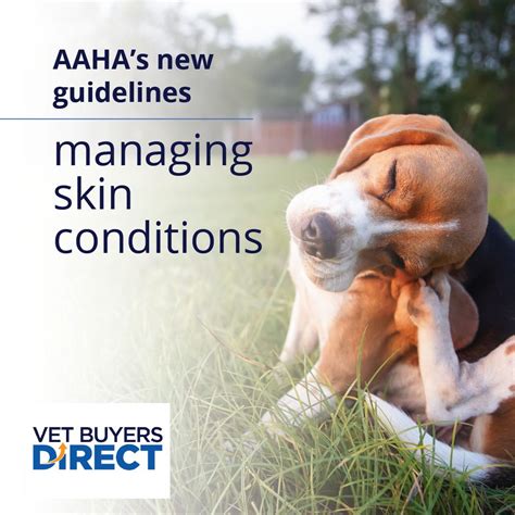 Image result for Vet Direct Program