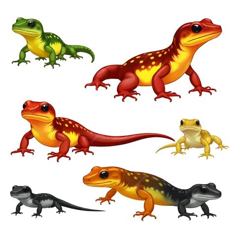 Image result for Different Color Lizards