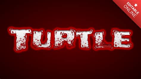 Image result for Turtle Write Text