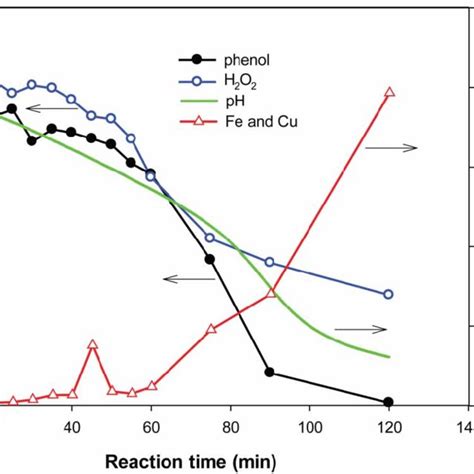 Image result for Decomposition of H2O2 with Catalyst Graph