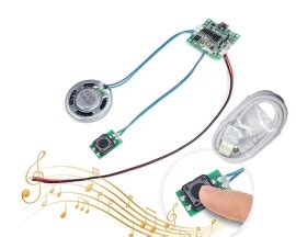 Image result for Using IC-Station Voice Recordable Sound Module