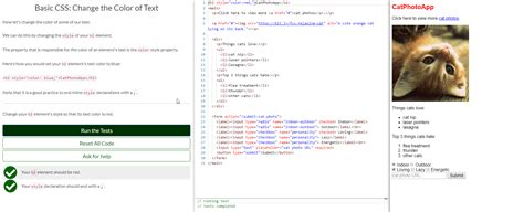 Image result for Basic HTML Code Font Color