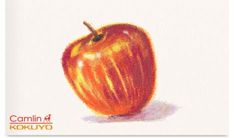 Image result for Intermediate Daily Drawing