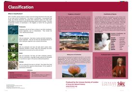 Image result for Classification Example Poster