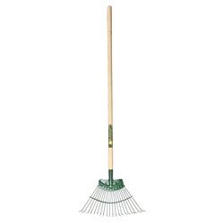 Image result for Springbok Rake