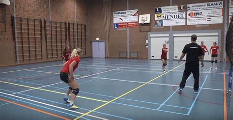 Image result for Free Volleyball Training Program