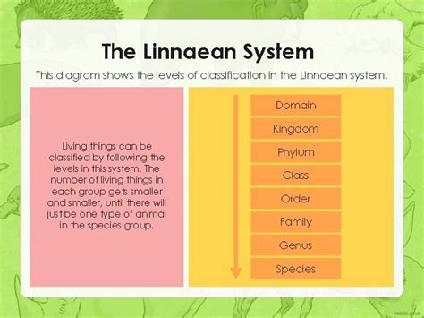 Image result for Classification of Creatures