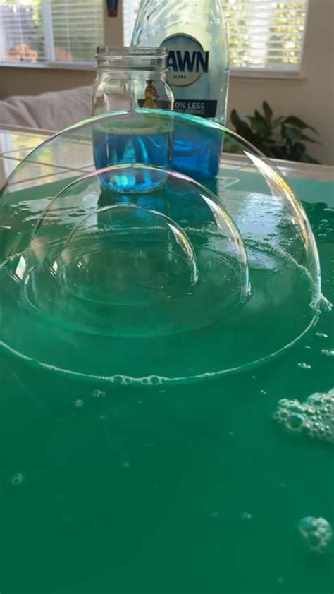 Image result for Science Day Project How to Do New