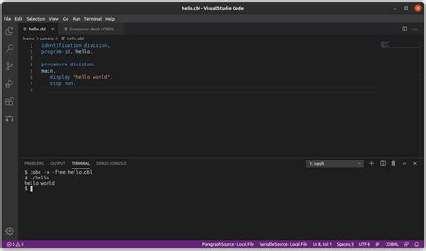 Image result for COBOL Visual Studio Code