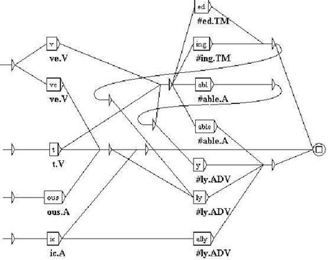 Image result for Example of Morphological Change