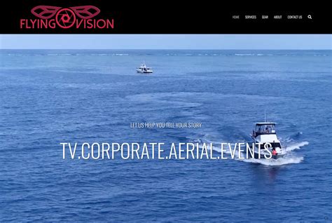 Image result for Vision Flying