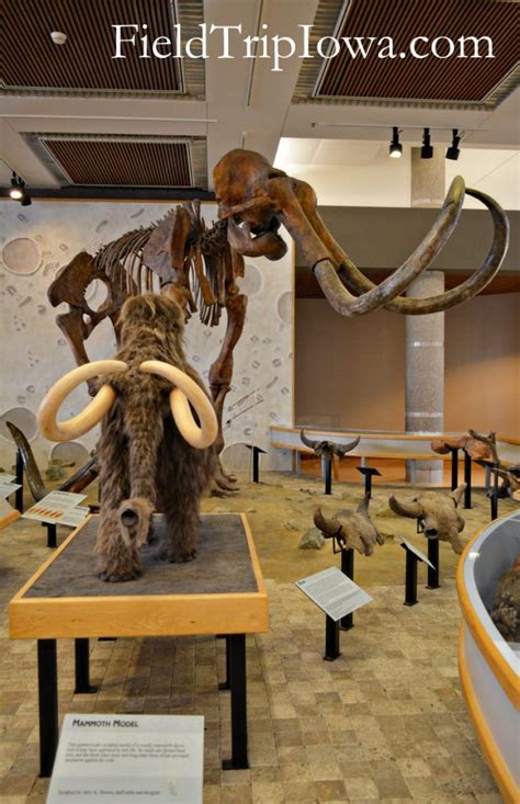 Image result for Decatur County Iowa Historical Museum