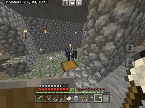 Image result for How to Make a Skeleton Farm Java