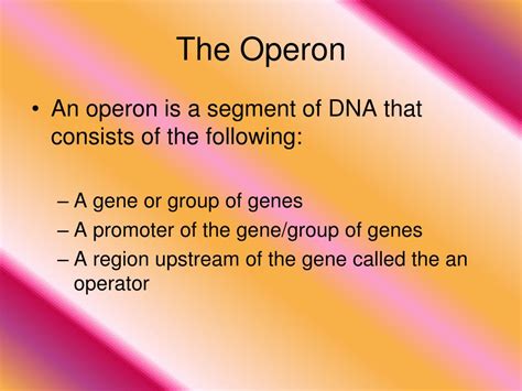 Image result for Gene Expression Promoter Operon