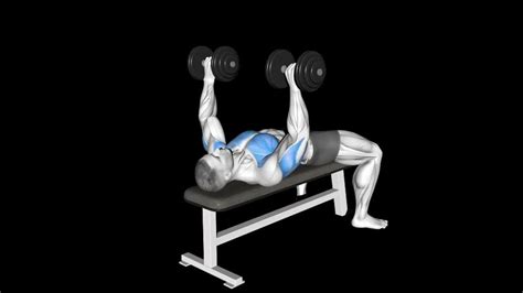 Image result for Bench Chest Fly