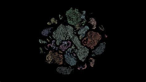 Image result for The Human Brain Map Project